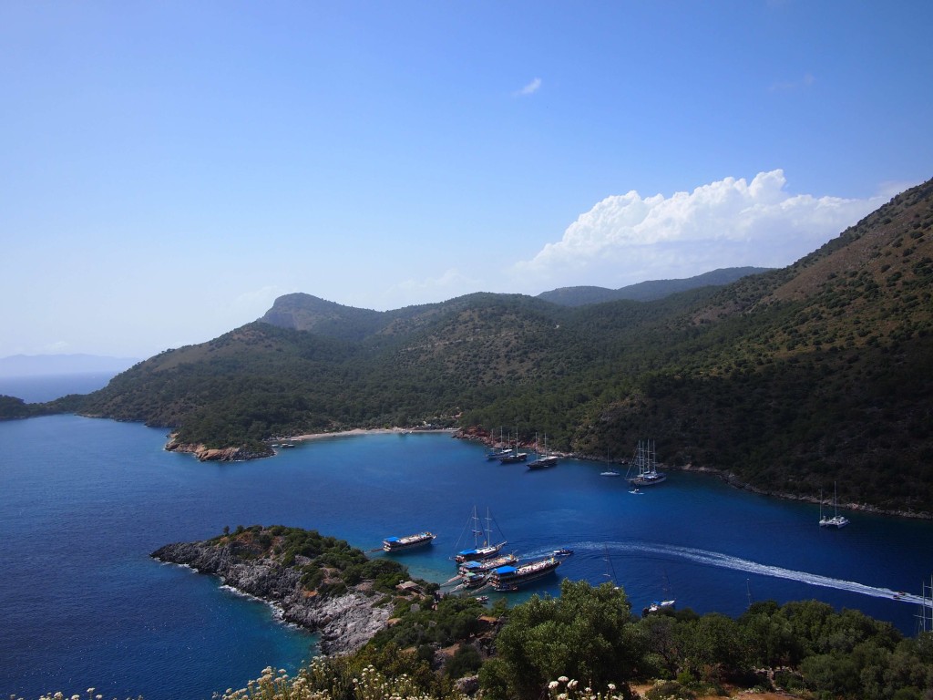 St Nicholas Island - Rakhee Ghelani